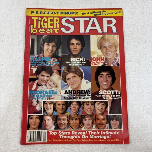 Accents | Tiger Beat Star Magazine June 1982 Springfield Macchio Baio ...